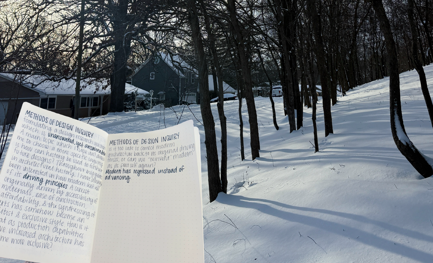 Snowy Studies! – Lizzie Griswold